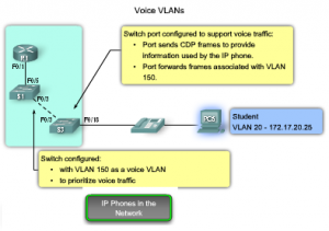Types of VLANs - Router Switch Blog