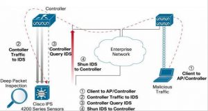 What You Should Pay Attention to Cisco Aironet Access Point While ...